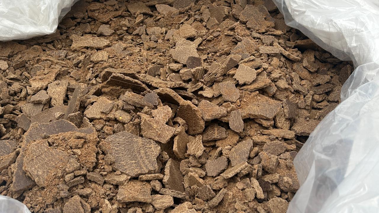 Karanja Cake | Karanja Cake Compost - Agile India Exports